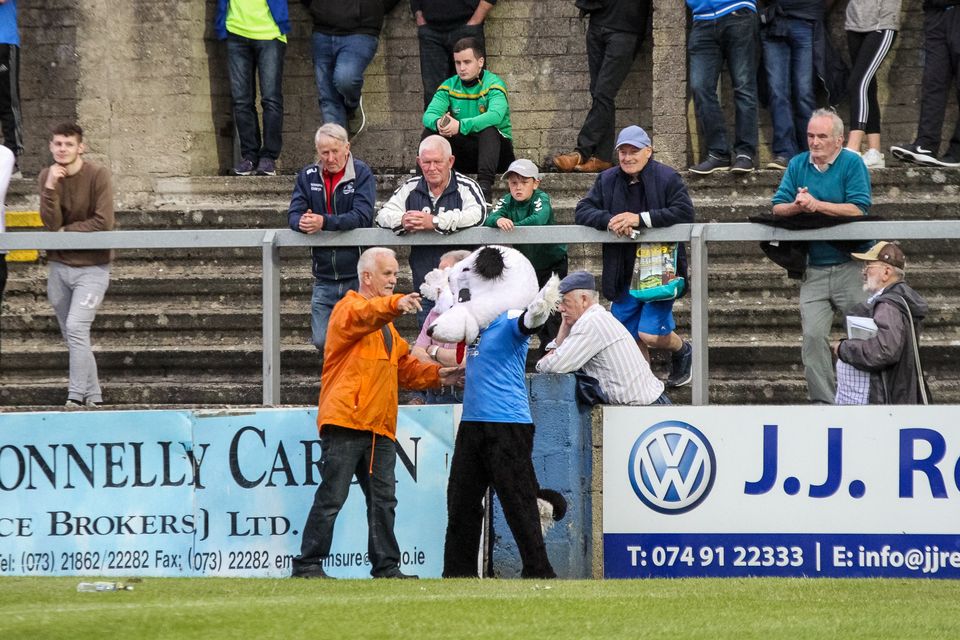 #JusticeForHarper: Uproar after mascot sent off during Irish football ...