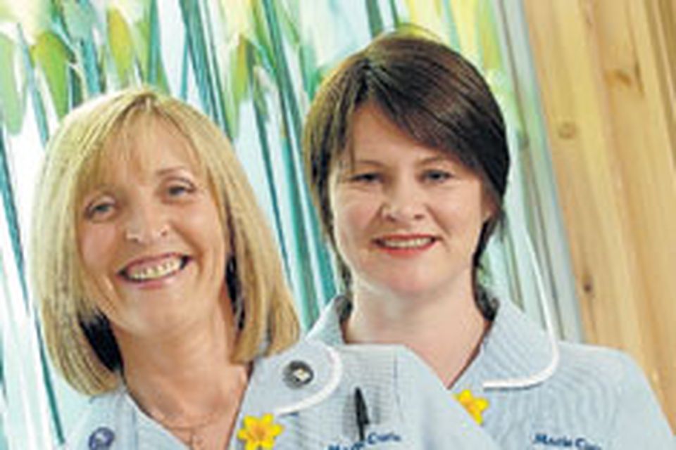 Tender, loving care | BelfastTelegraph.co.uk