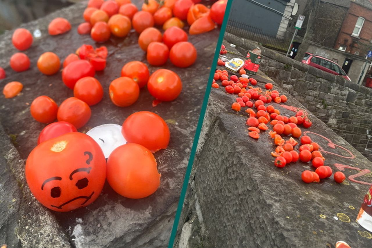'Cherry Tomato Bridge' becomes Dublin's latest tourist attraction ...