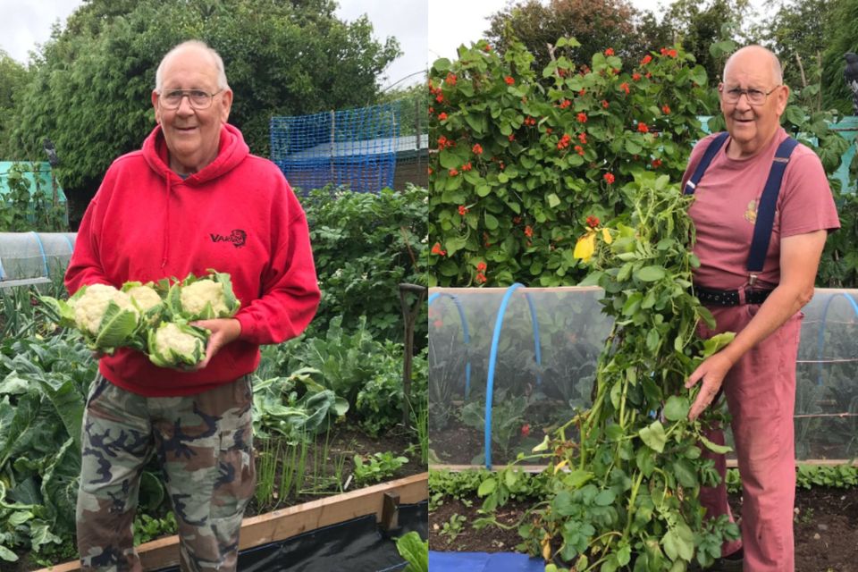 ‘Vegetable king’, 71, becomes viral sensation with gardening Twitter ...