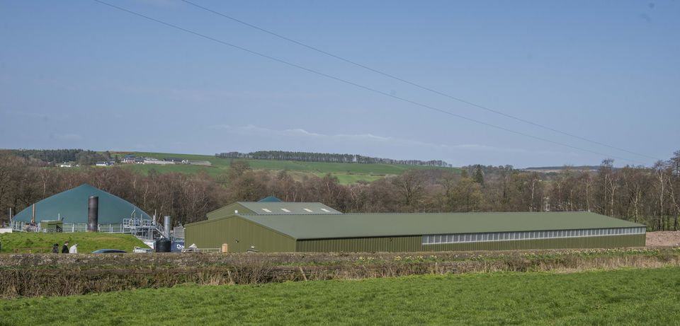 New prawn farm to deliver without freezing or air miles ...