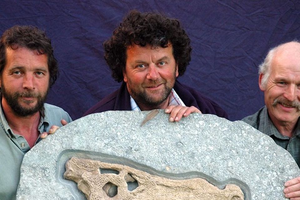 Crocodile fossil named new species | BelfastTelegraph.co.uk