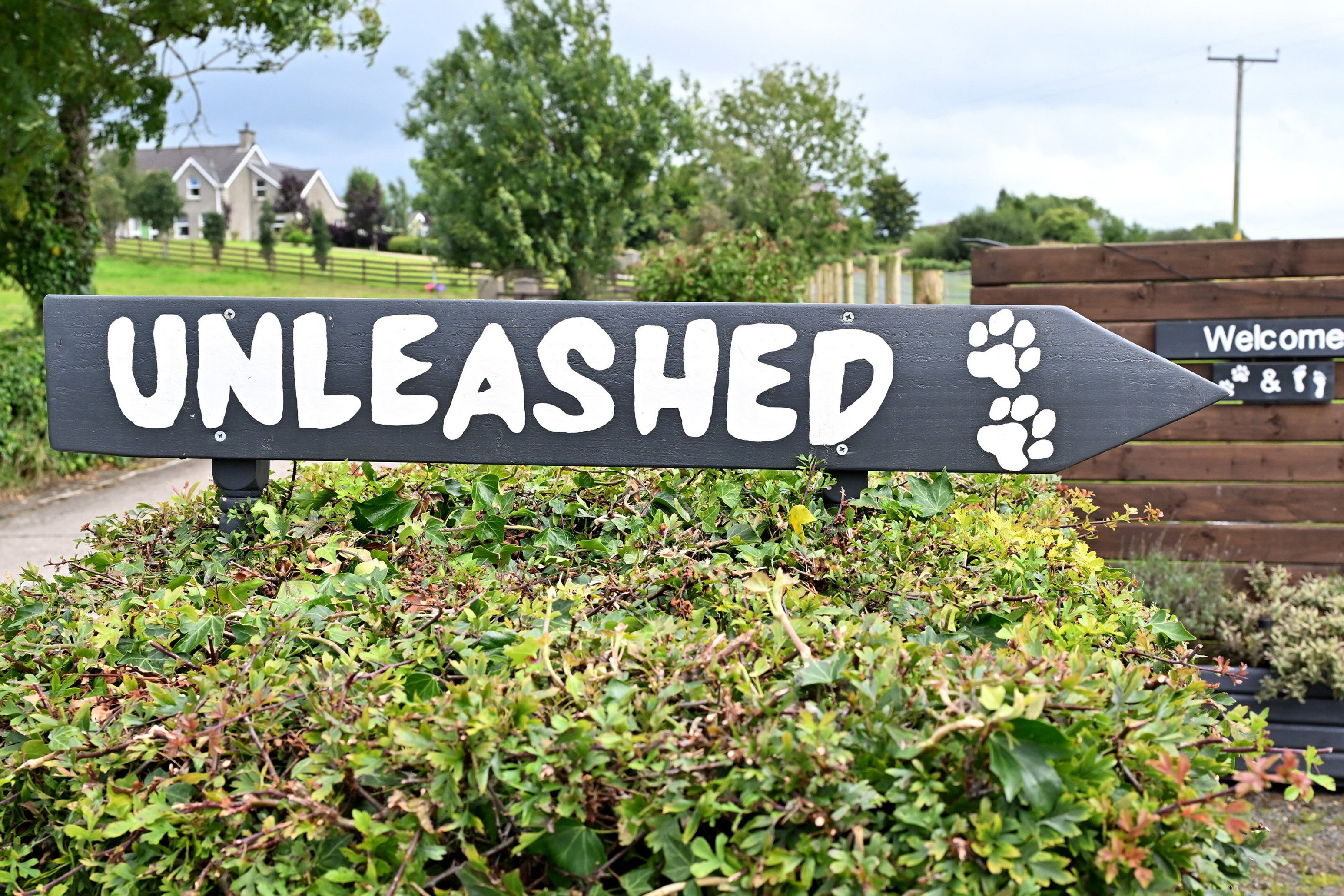 Unleashed Dog Park: Campaign to save Moira dog adventure spot from ...