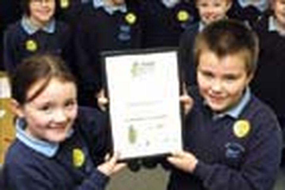 Woodland Charity Benefits | BelfastTelegraph.co.uk