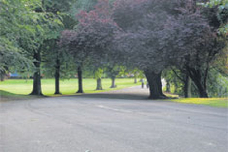 Public asked to help tackle park yobs | BelfastTelegraph.co.uk