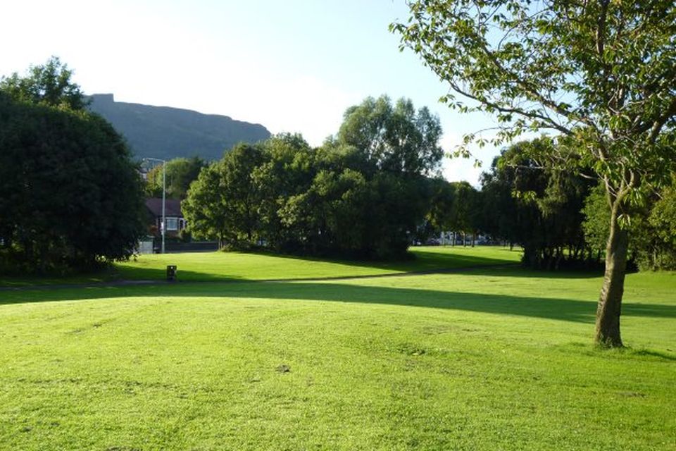 Over 1,000 trees in Belfast park are given a reprieve as DoE issues ...
