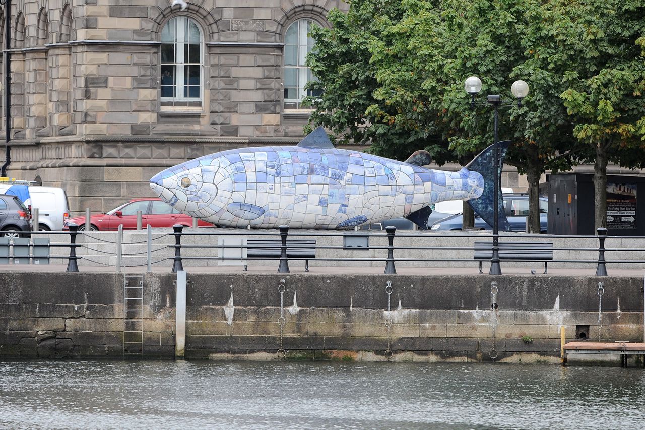 Belfast's River Farset: Sealed up when it was an offal-filled sewer ...