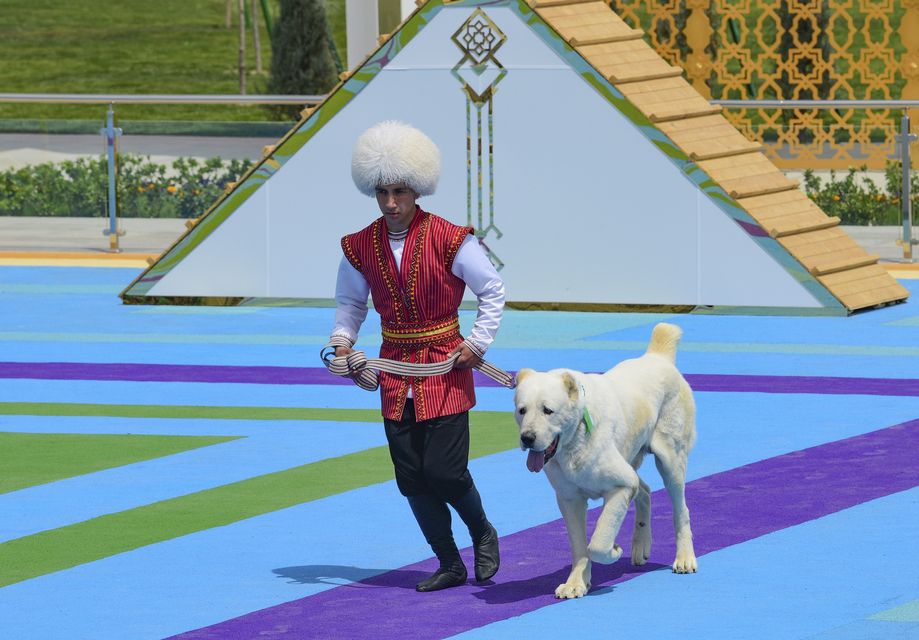 Turkmenistan dedicates new national holiday to native dog breed ...