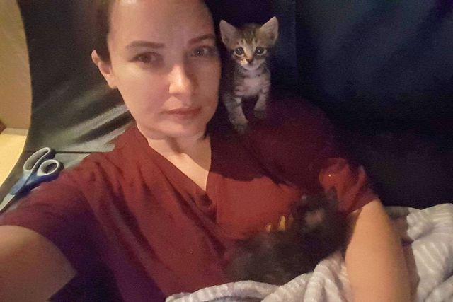 Emma Baxter: Expat helping rehome stray cats of Dubai around world ...