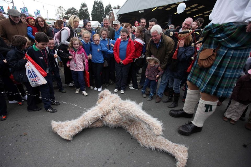 Balmoral Show public transport plea as Maze showpiece event kicks off ...