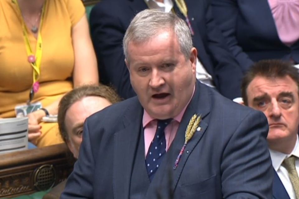 Why were MPs wearing wheat on their lapels at PMQs? | BelfastTelegraph ...
