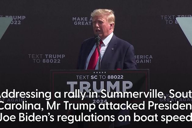 Former US President Donald Trump said 'windmills' are driving whales 'a ...
