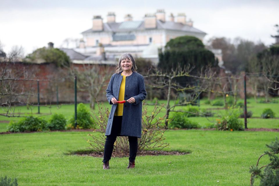 Going green at Ballywalter Park | BelfastTelegraph.co.uk