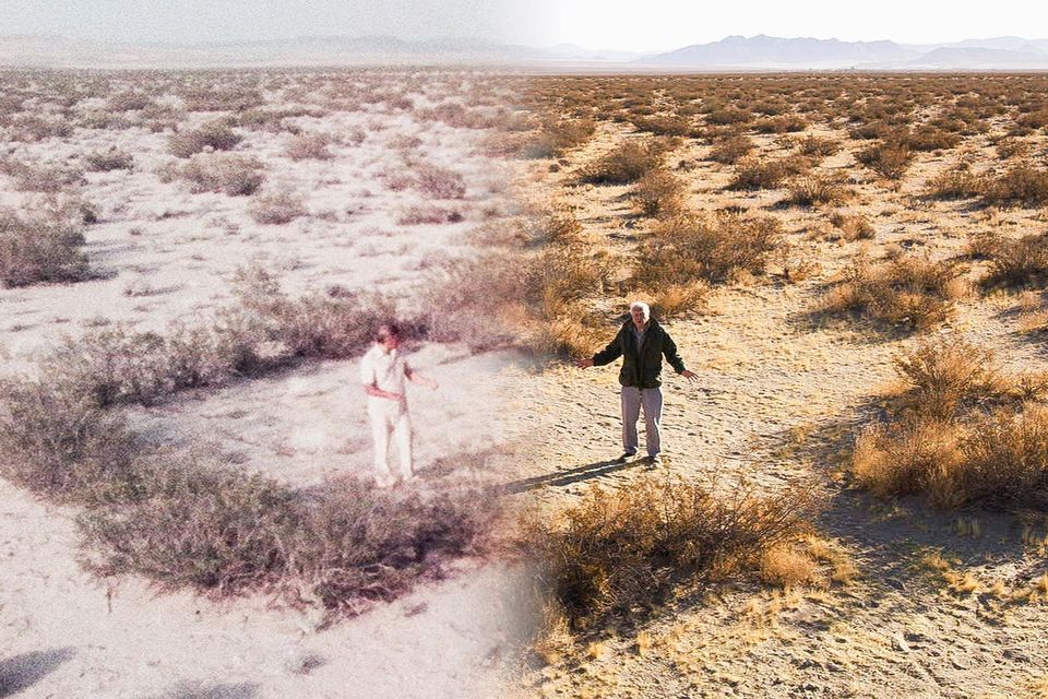 David Attenborough revisits desert plant he filmed 40 years previously ...