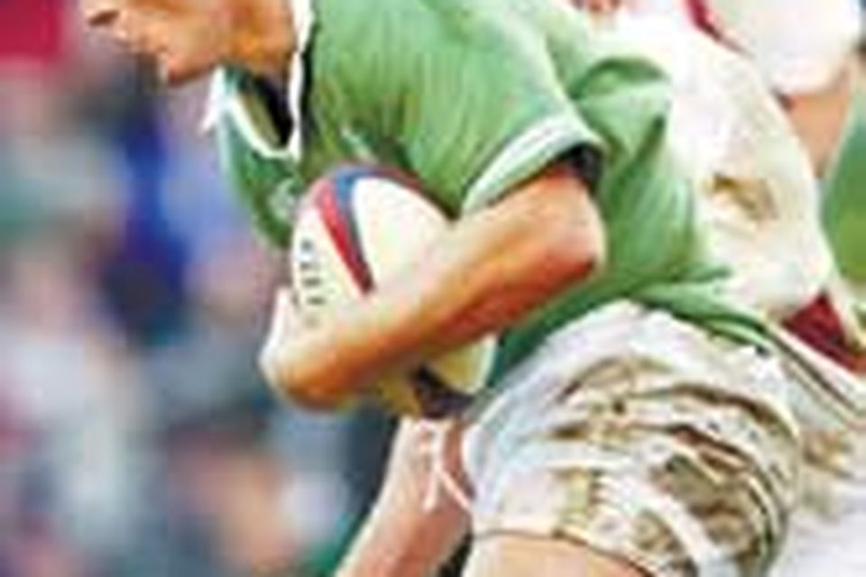 Rugby: Lens back in focus | BelfastTelegraph.co.uk