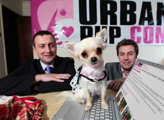 Urbanpup linking up with Legally Blonde | BelfastTelegraph.co.uk