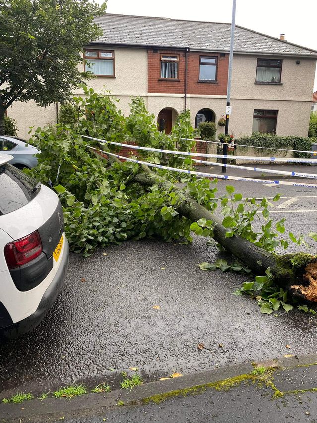 Northern Ireland Met Office weather: Forecast set to improve after ...