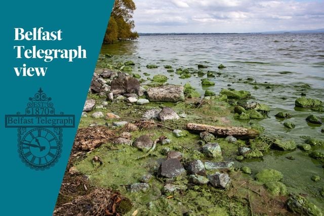 Lough Neagh action plan needs implemented urgently | BelfastTelegraph.co.uk